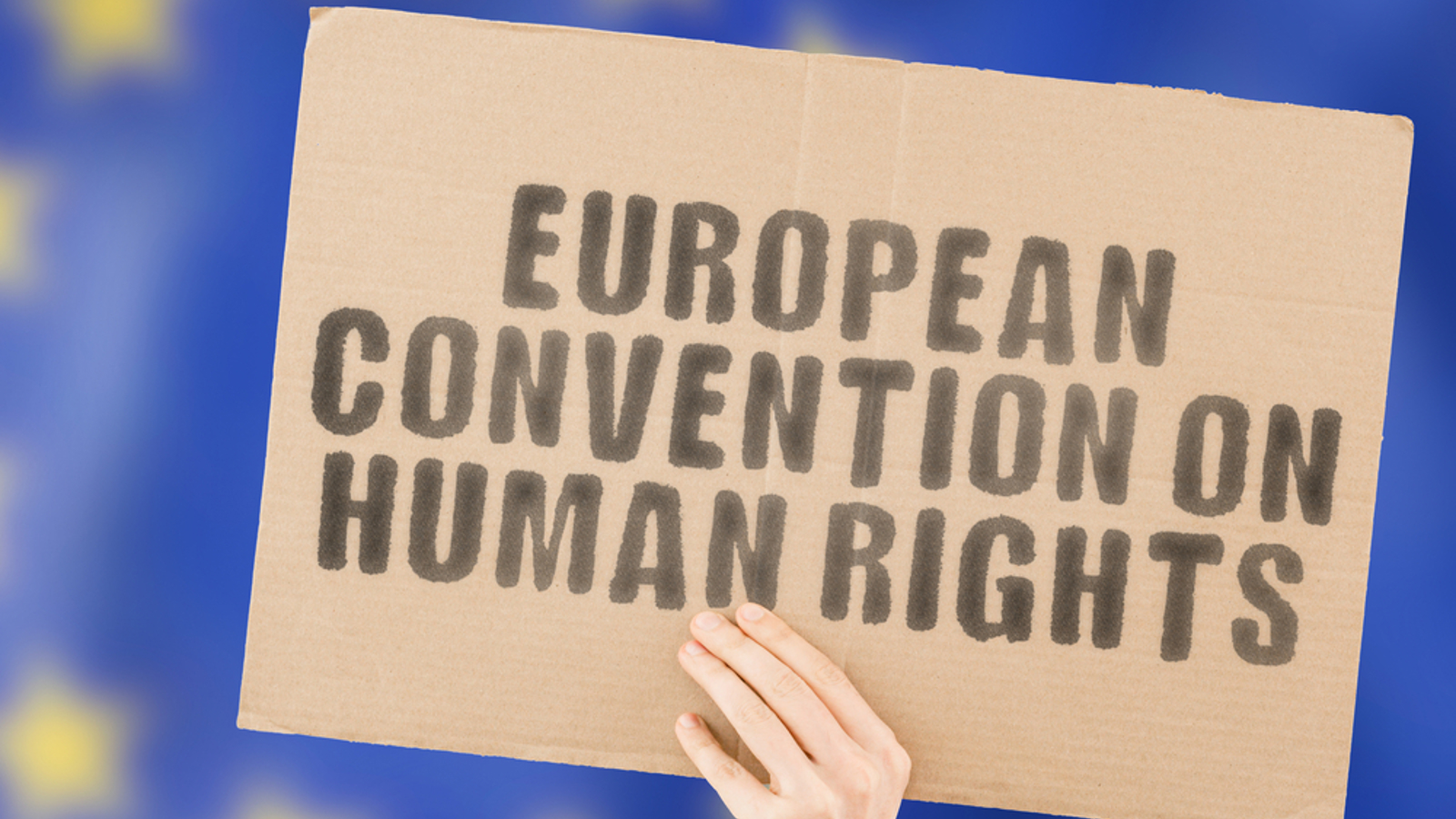 Significant cases | British Institute of Human Rights