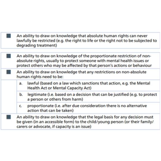 Our work on CAMHS Competency Frameworks