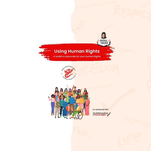 Co-Design a Human Rights Support Solution: All Wales People First